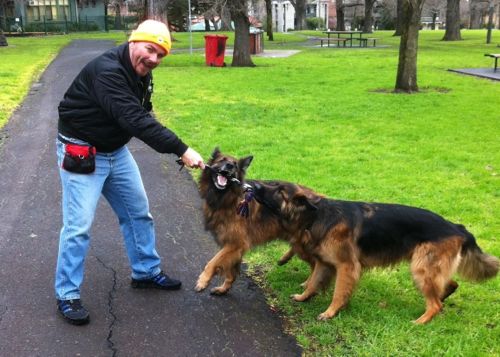 The Health Benefits Of Pet Ownership