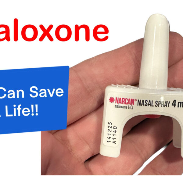 Can You Wear A Butt Plug In Public The Healthy Bear